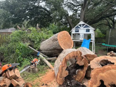 From Beryl to Ernesto, ‘extremely active’ hurricane season continues ...