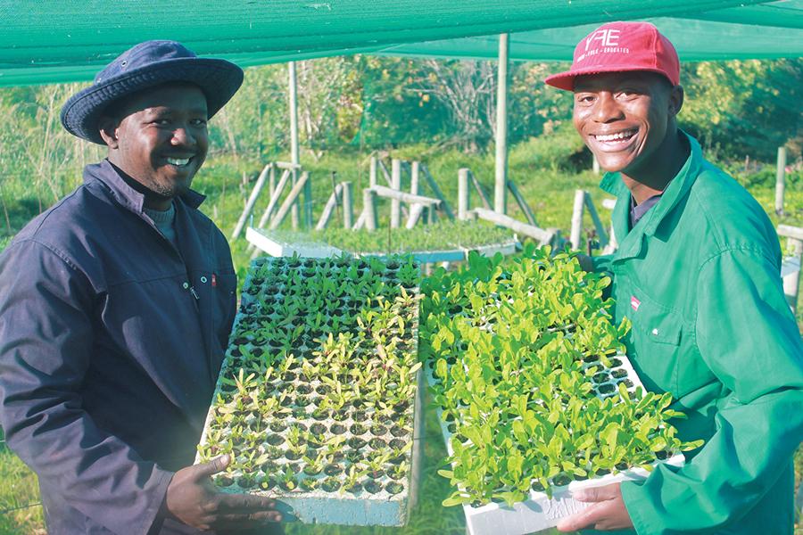 Addressing systemic poverty globally through partnerships ...